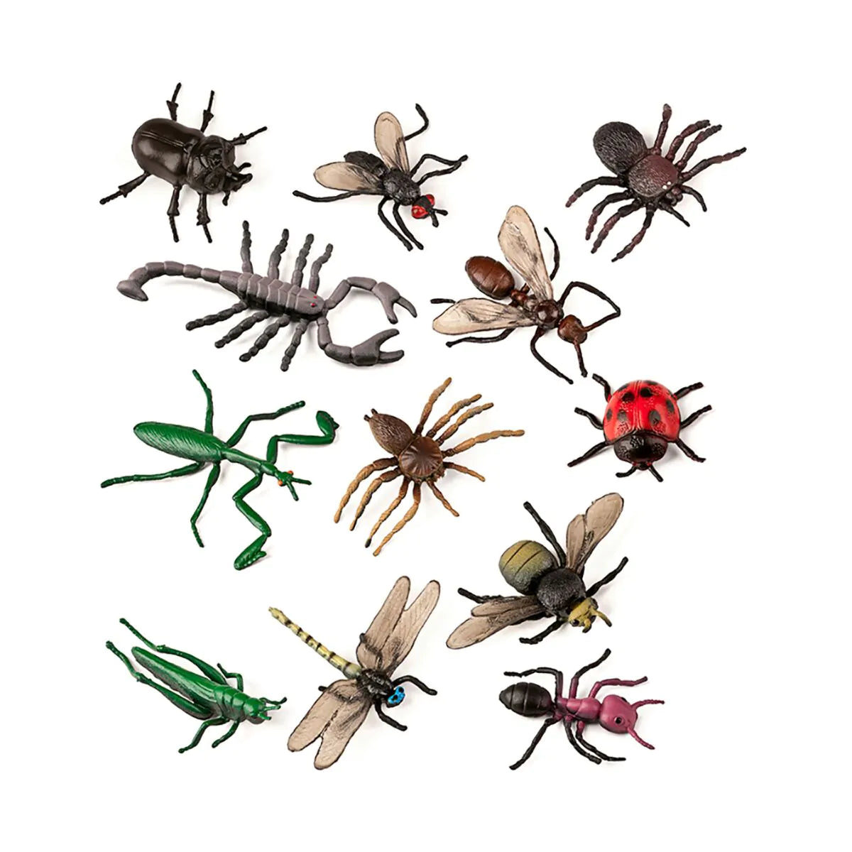 Miniland Insects, 12 pieces in Jar with Didactic Guide – Axis Toys & Gifts