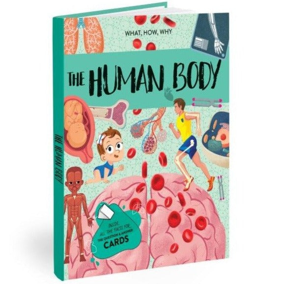 Sassi What How and Why The Human Body Book and Poster – Axis Toys & Gifts